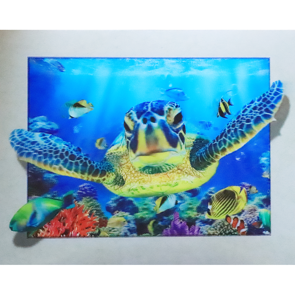 Sea Turtles - 3D Lenticular Poster - 12x16 Print - New – worldwideslides